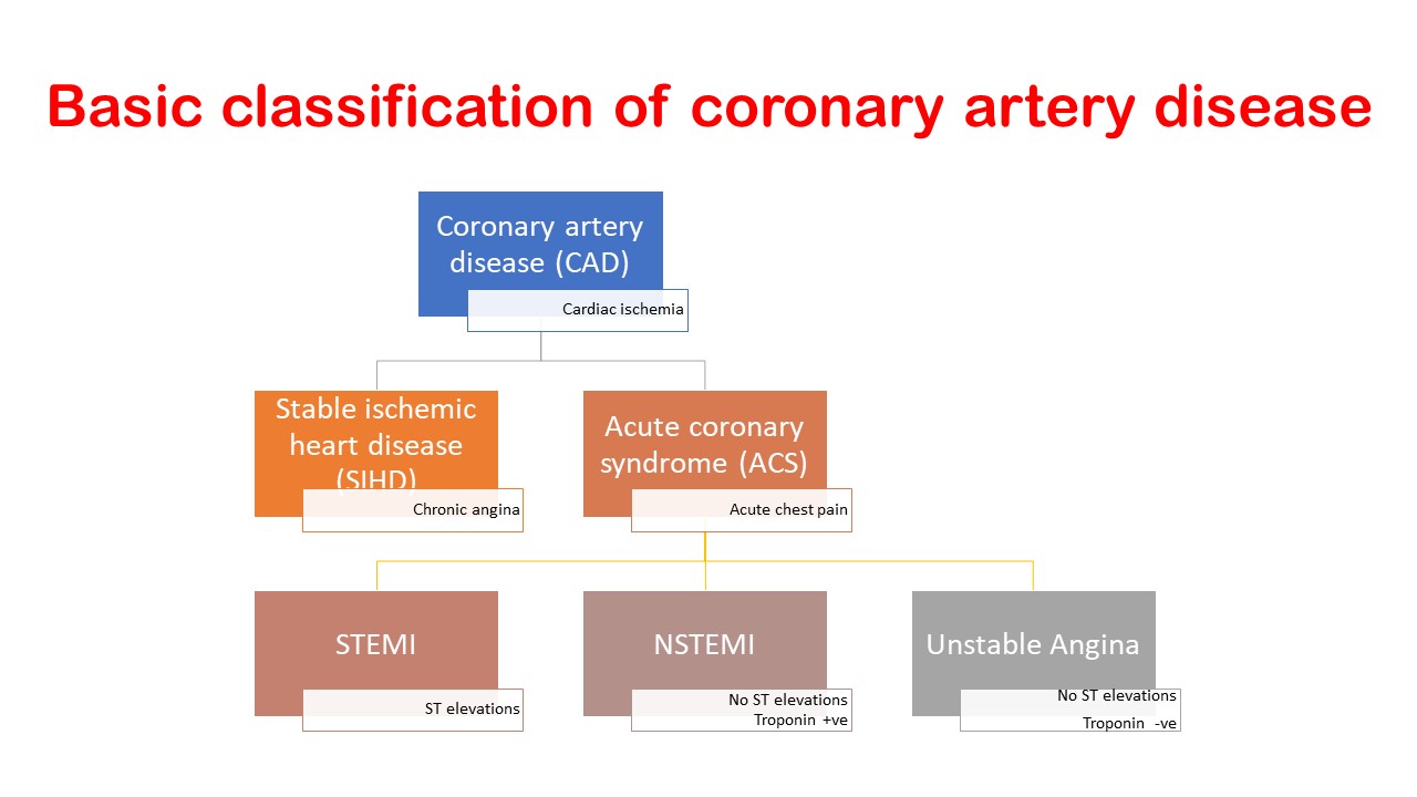 Coronary Artery Disease - MD Searchlight