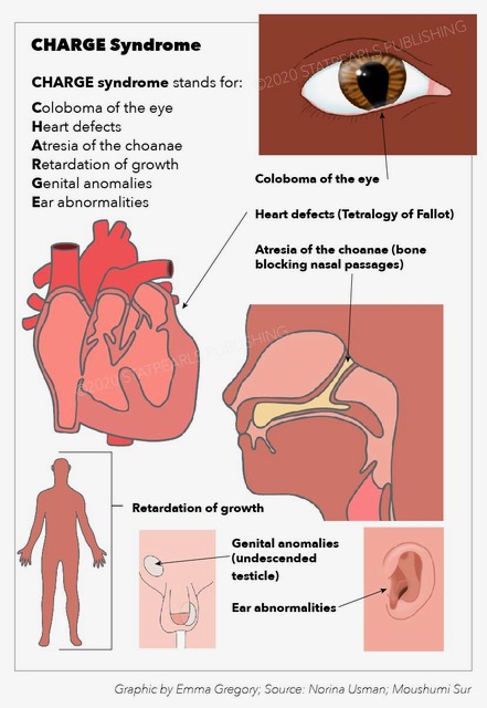 CHARGE Syndrome - MD Searchlight