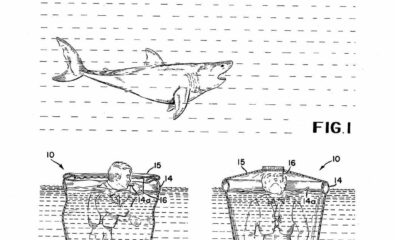 Shark Trauma (Shark Attack Injury) - MD Searchlight
