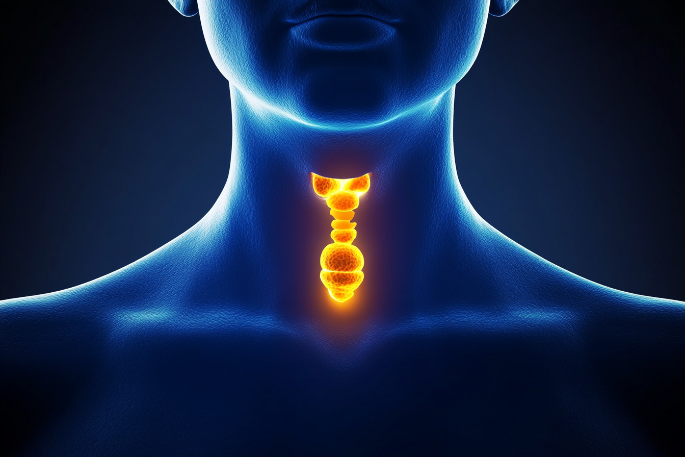 Plummer Disease - MD Searchlight