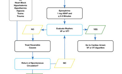 Sudden Cardiac Death - MD Searchlight