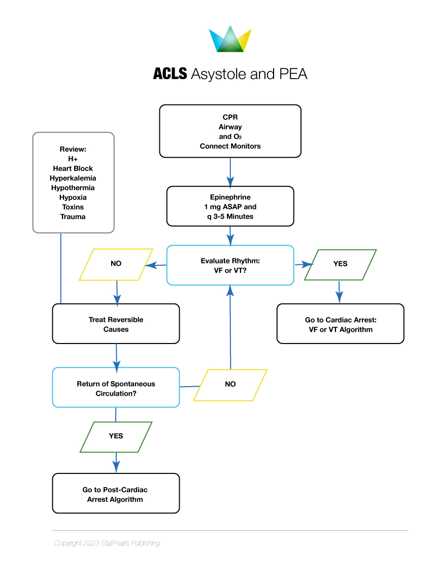 Sudden Cardiac Death - MD Searchlight