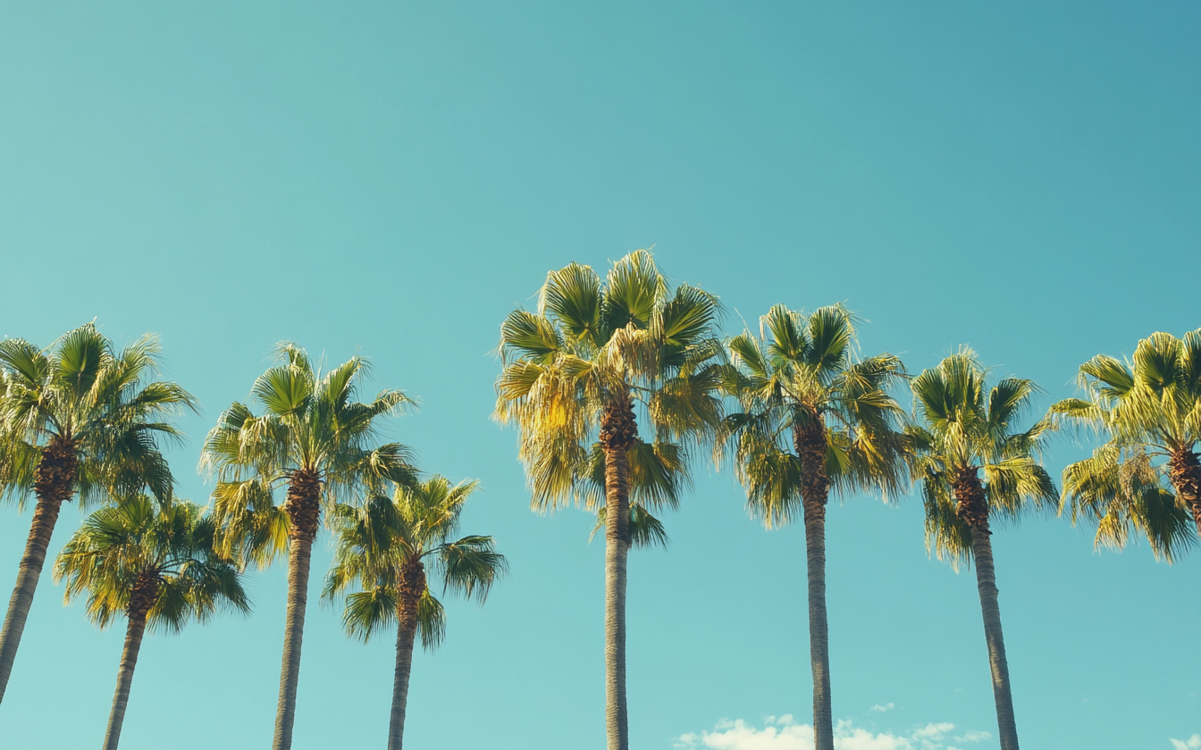 Yaws - MD Searchlight